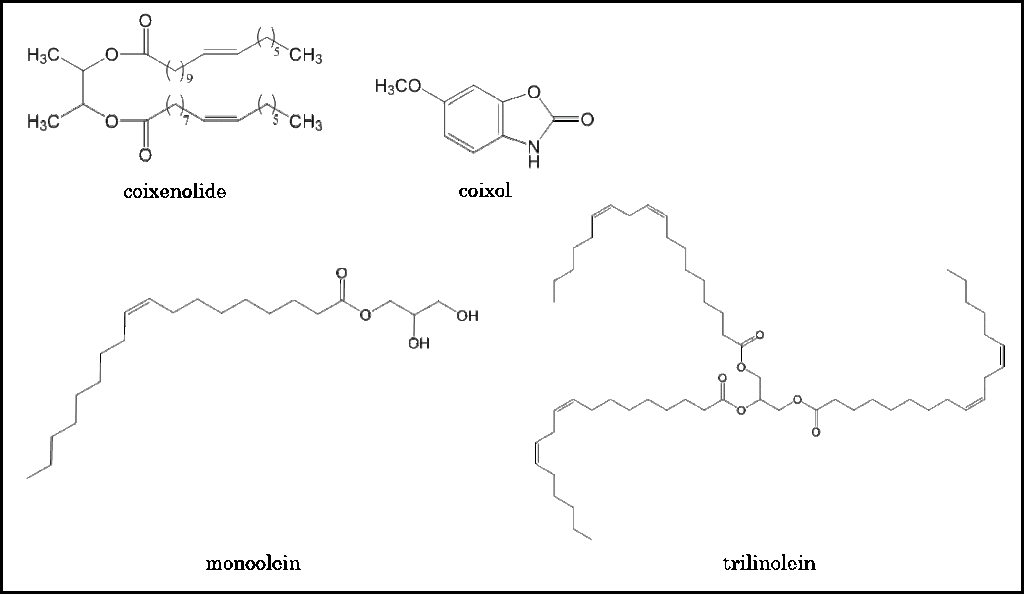 ハトムギ – 佐倉ハーブ園